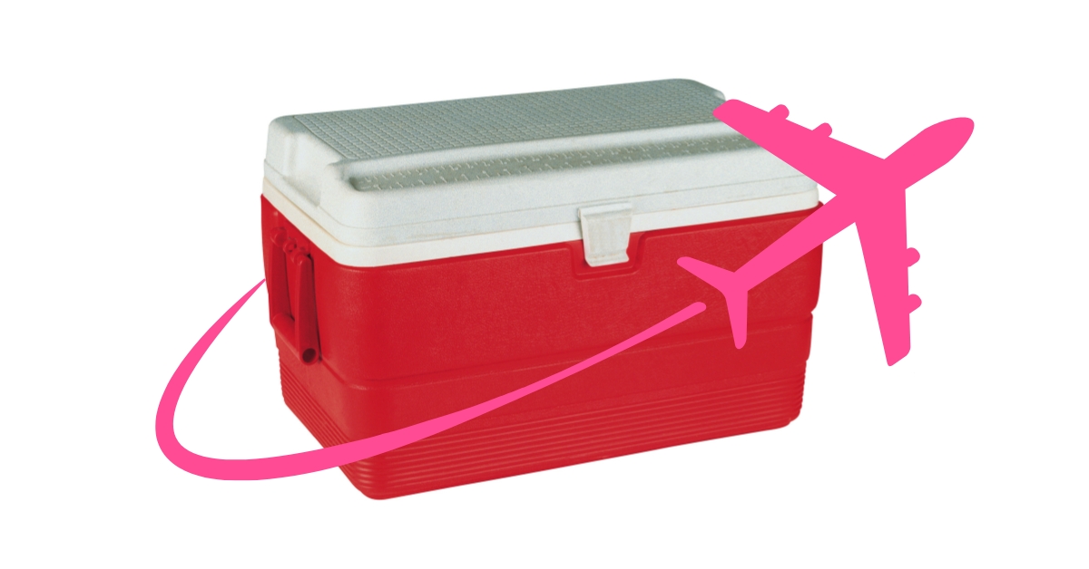 Pode levar cooler no avião? Regras, dicas e cuidados